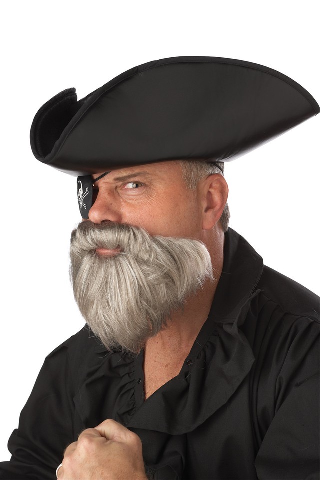 Pirate Captain Hook Moustache & Beard Adult Costume | eBay