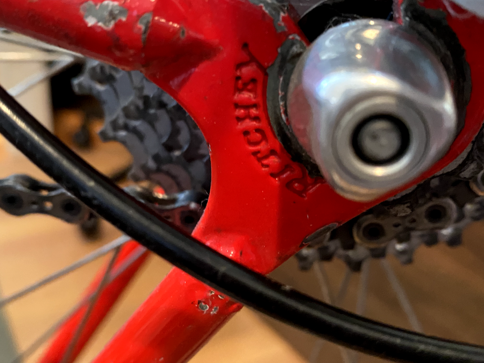 Serotta Colorado 54cm Campagnolo Veloce 10 SPD Tange Tubing Rebuilt in ...