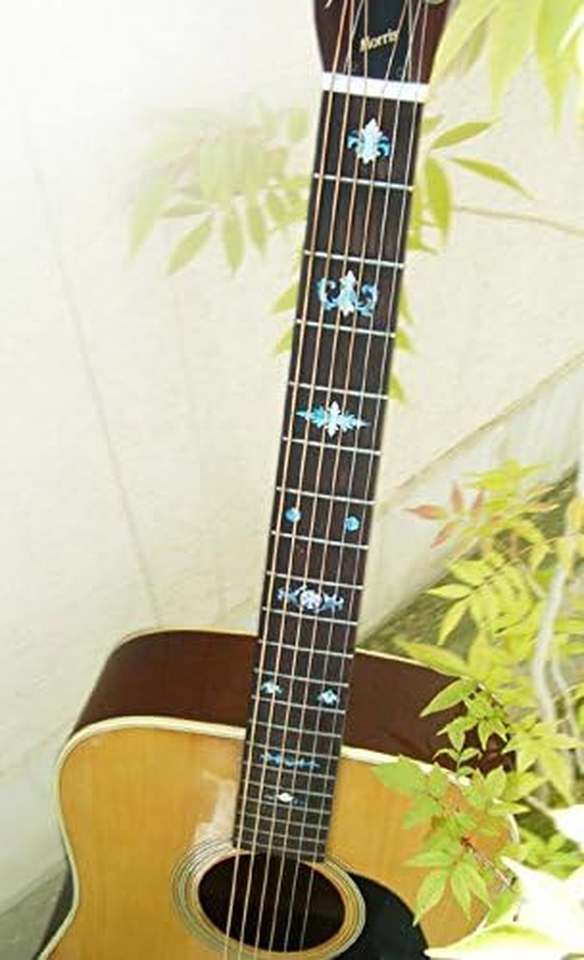 Jockomo Old Banjo Type Guitar Inlay Sticker | eBay