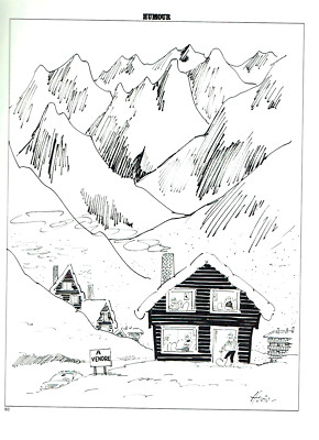 publicité Advertising 0323 1981 Humour Hoviv " Chalet à vendre " | eBay