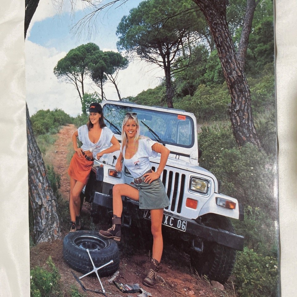 Stihl 1996 Calendar Pinup Girls Man Cave Vintage 12x24 | eBay