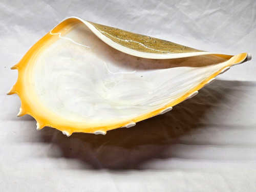 Vintage Jozefina Krosno Iridescent Cased Art Glass Shell Bowl - Made In ...