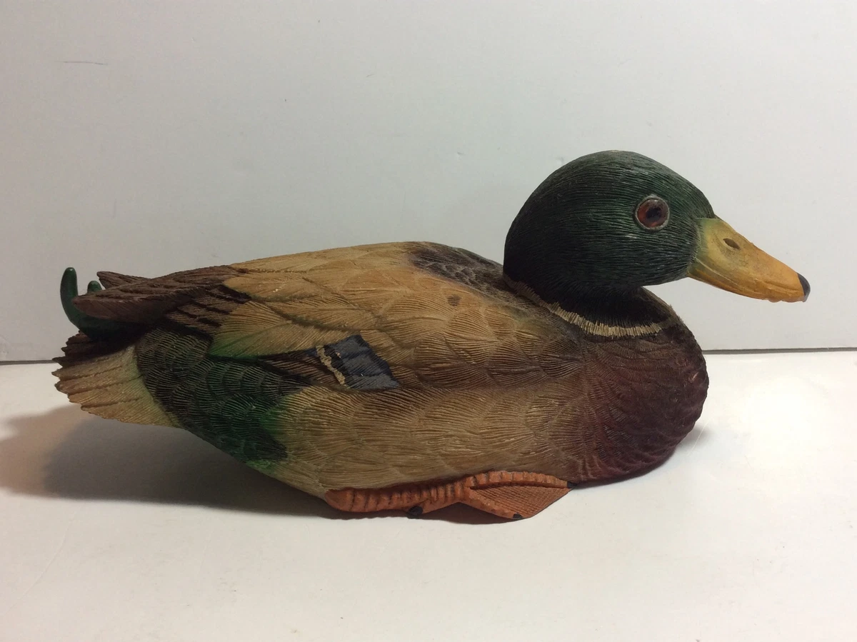 Mallard Duck Mounts Sitting