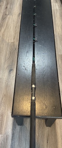 Shakespeare Ugly Stik Black Tiger Saltwater Fishing Rod 7'0" Medium 20 ...