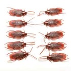 Simulation Fake Rubber Cockroach 10pcs Prank Funny | eBay