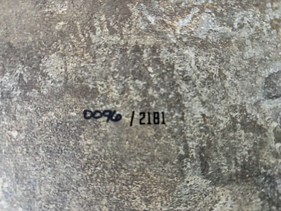 Horizon Zero Dawn Press Kit - PS4 - #096/#2181 - FREE SHIPPING - OBO | eBay