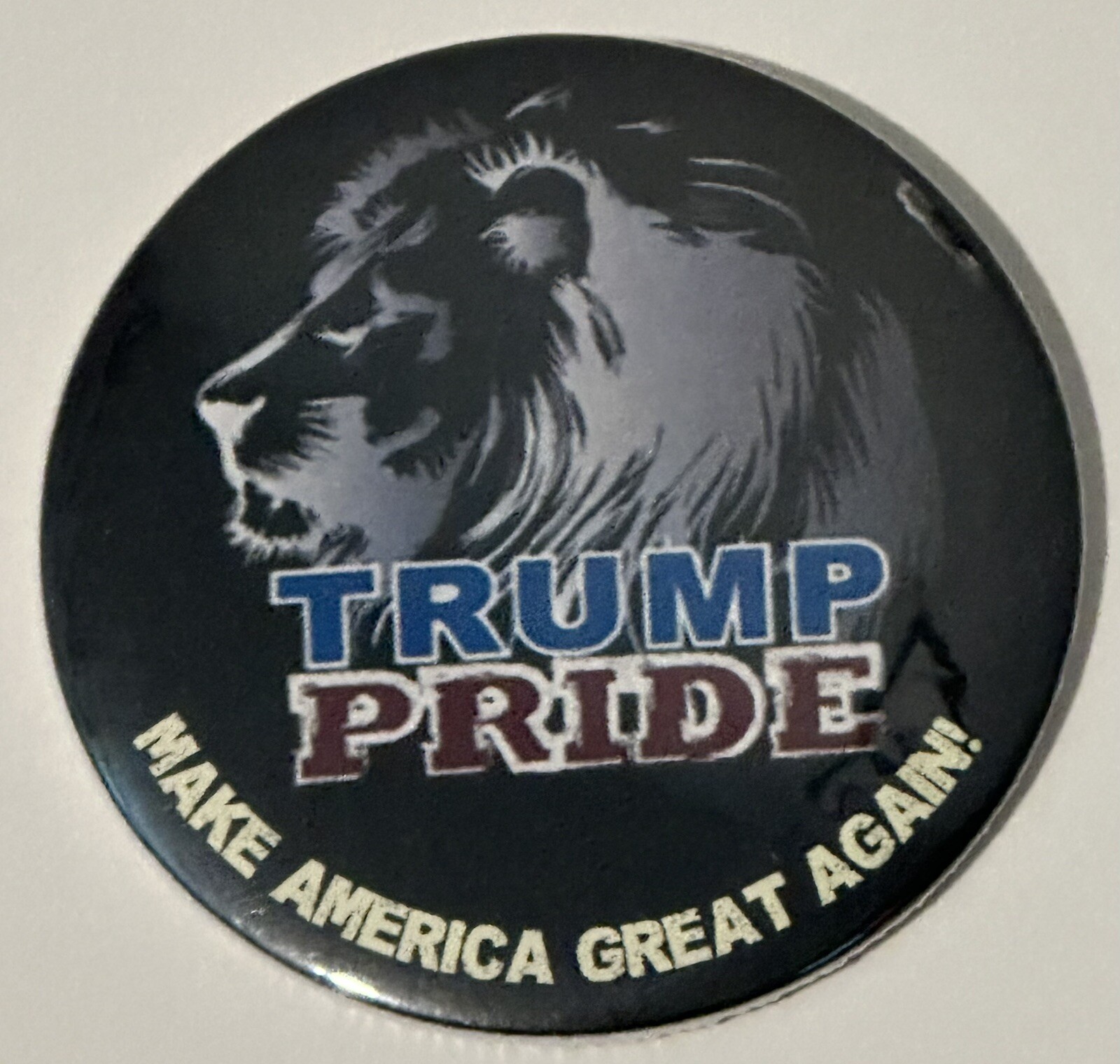 TRUMP PRIDE MAKE AMERICA GREAT AGAIN PINBACK BUTTON | eBay
