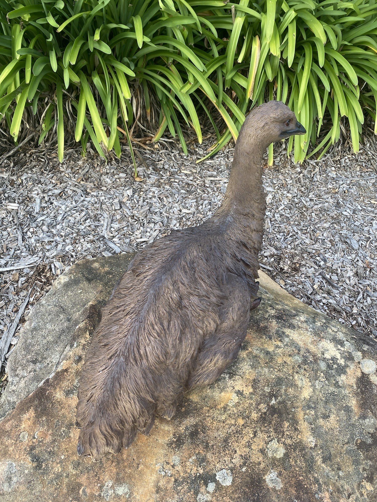 Emu Sitting Realistic Ornament Statue Garden Sculpture Décor XLarge 65 ...