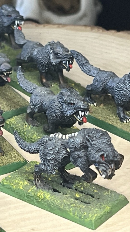 Dungeons & Dragons/Warhammer Fantasy/ Vampire counts/ 16 Wolves 1 Worg ...