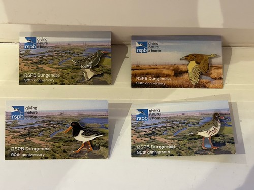 Set Of 4 RSPB Dungeness Pin badges | eBay UK