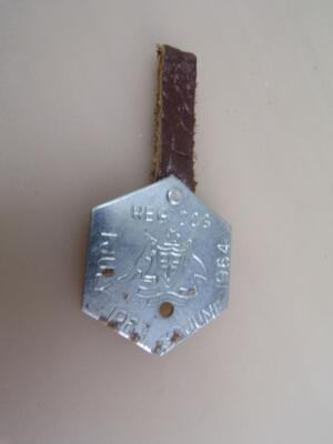 Dog registration disc tag District 86 Mount Gambier South Australia ...