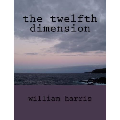 The Twelfth Dimension - Paperback NEW Harris, William 01/09/2013 | eBay