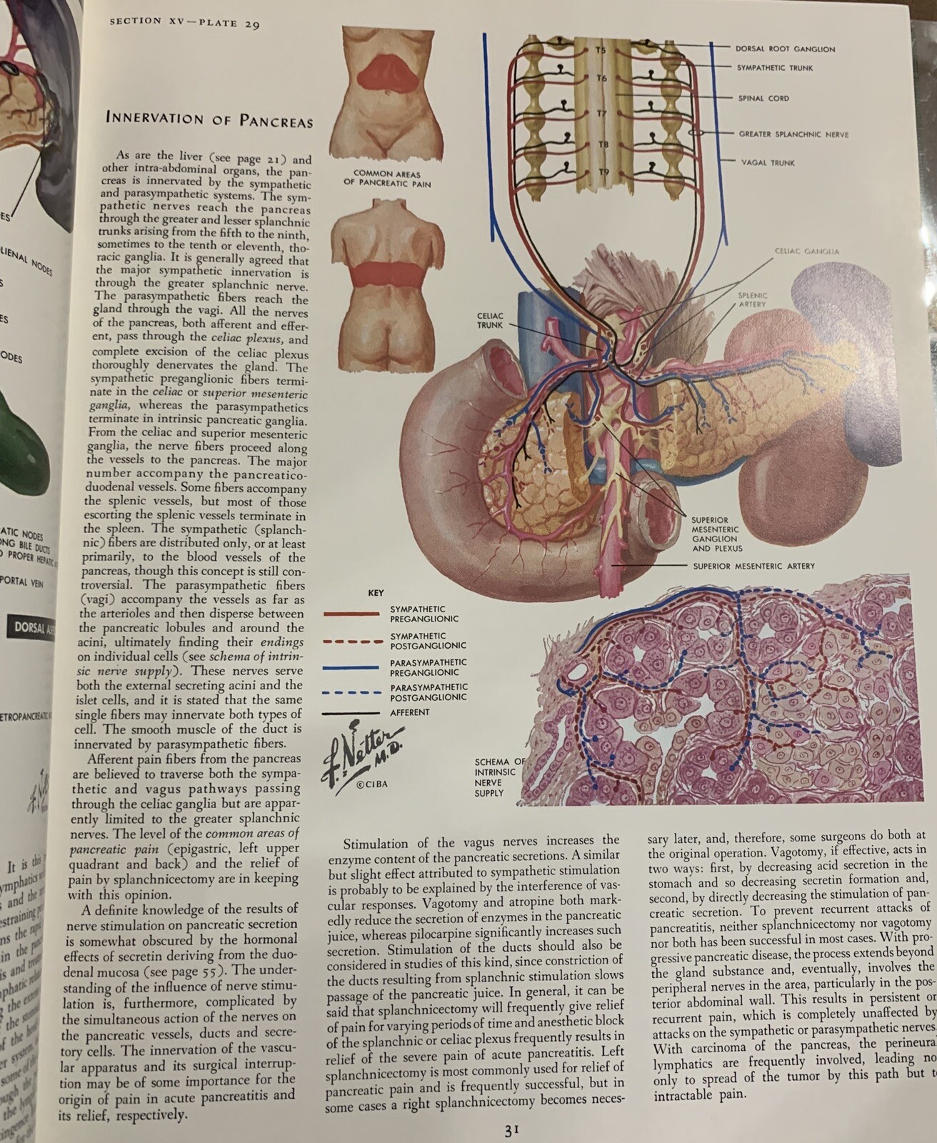 VTG Frank Netter The CIBA Collection Of Medical Illustrations Vol 3 ...