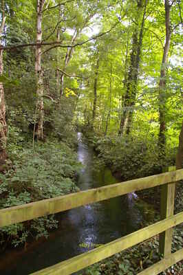 Photo 12x8 Stream near Park Farm West Bilney c2007 | eBay UK