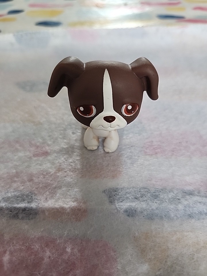 Hasbro Littlest Pet Shop Lot Of cats, dogs & accessories. Authentic. | eBay