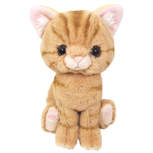 Kitten cat Kiton stuffed toy American shorthair 14.9×16.3×7.2cm BR P ...