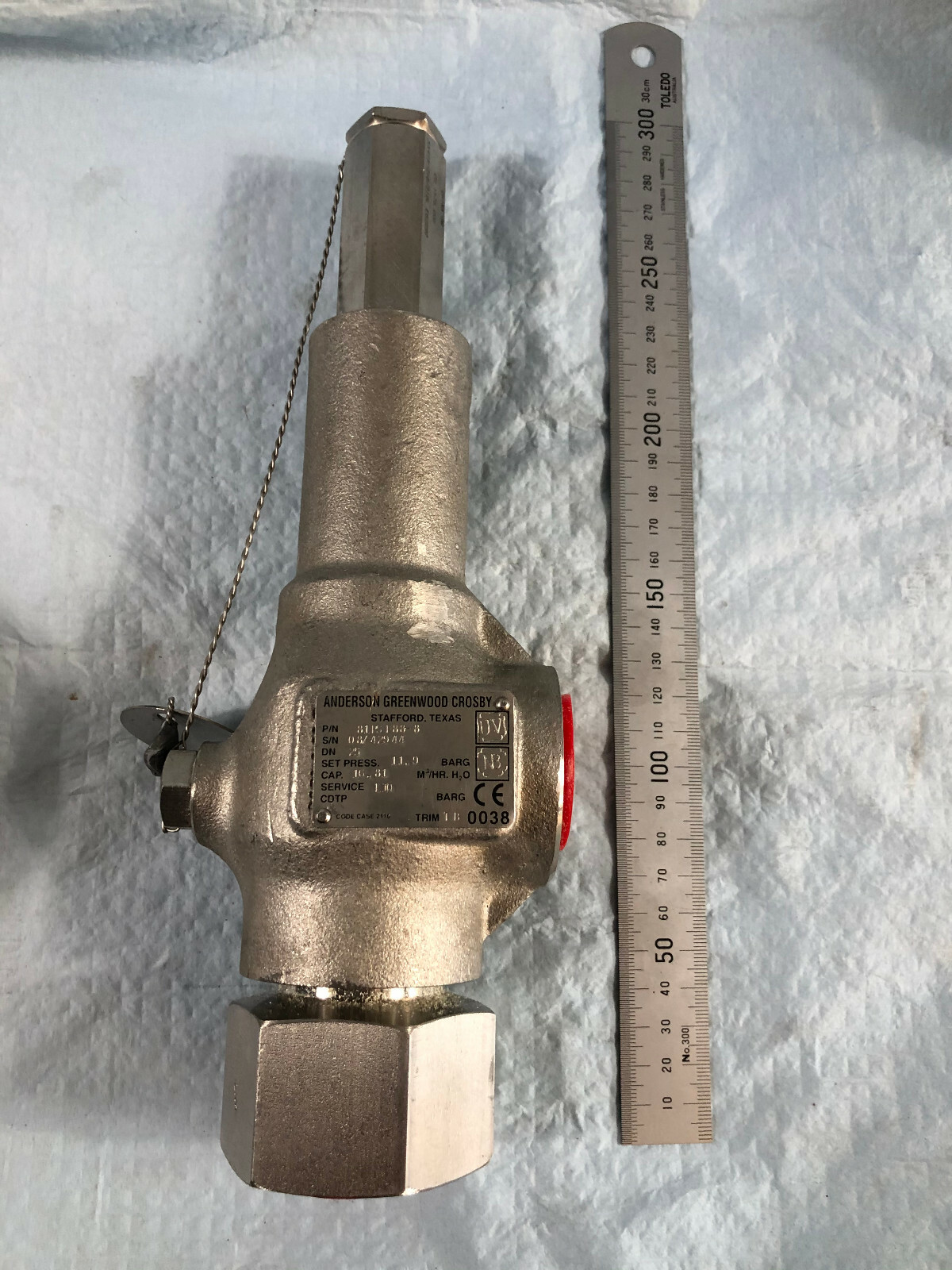 Anderson Greenwood Crosby DN25 PRV / PSV - 81PSF88-8 Set Press 12 Bar ...