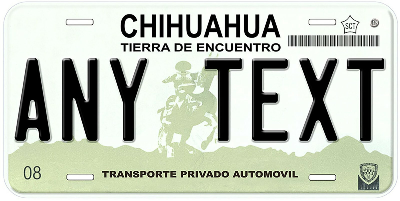 Chihuahua Personalized Car Auto Mexico License Plates Any Text | eBay