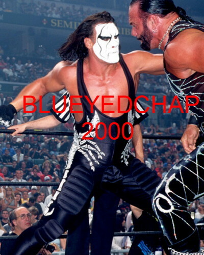 Sting Wcw 2000