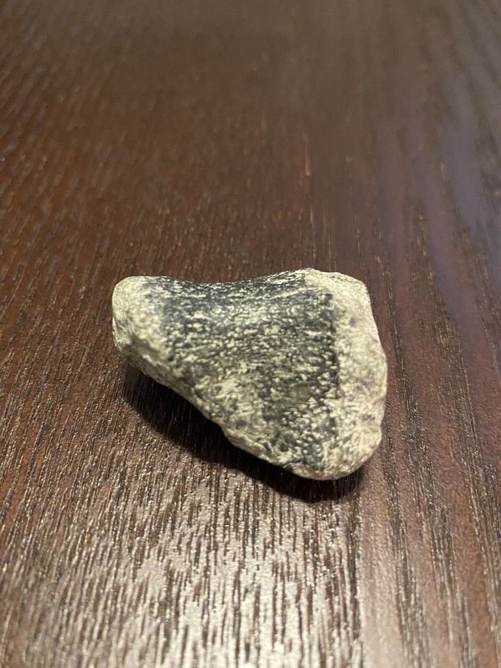 Ancient Fossil, Bone, Unusual, Age Unknown, Very Old, REAL! | eBay