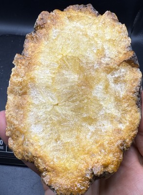 Fossilized Indiana Geode Quartz Citrine 1/2 Agate crinoid calyx 2,198 ...