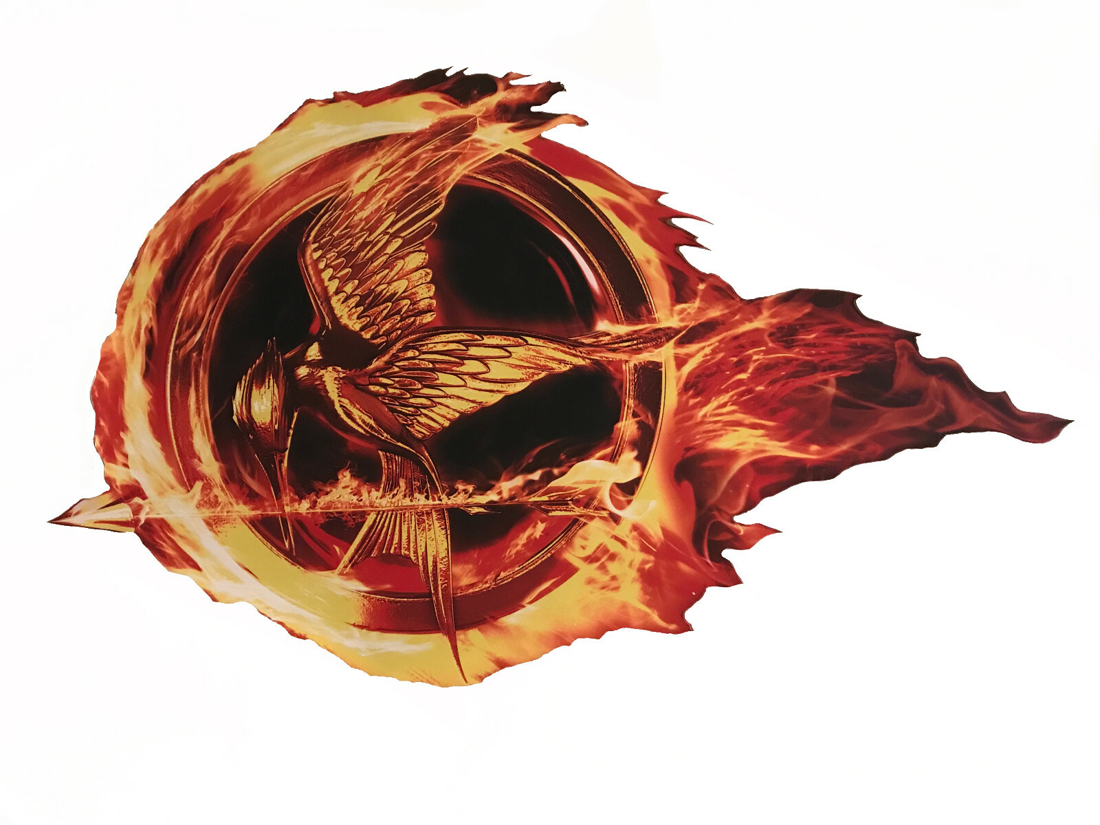 Hunger Games Mockingjay Pin On Fire