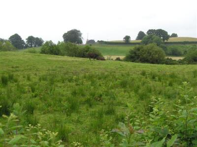 Photo 6x4 Oghill Townland Ederny Looking south c2007 | eBay UK
