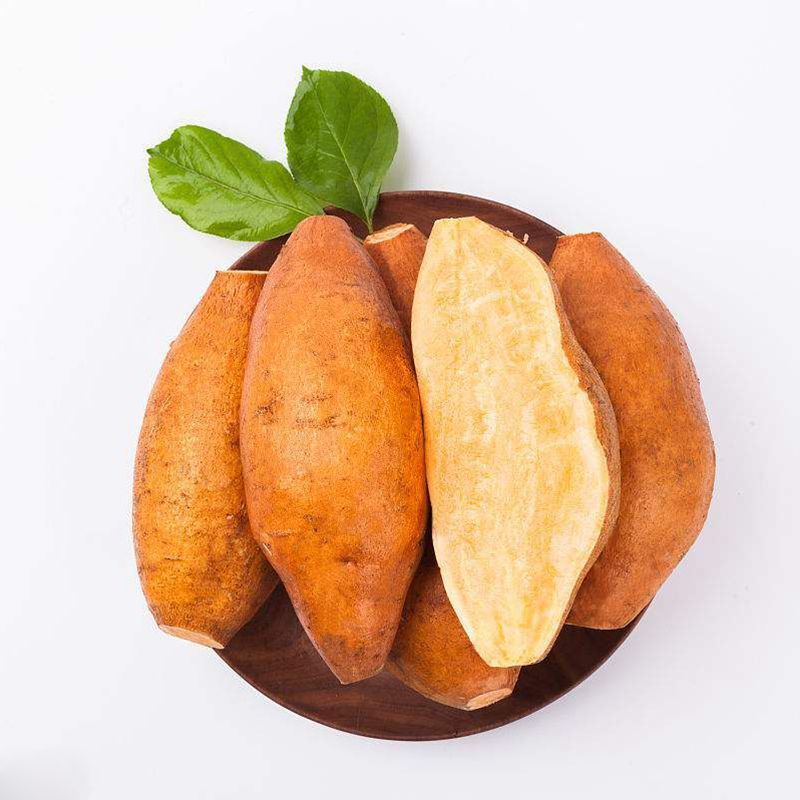 Sweet Potato Seeds 20 Yellow Sweet Potato Seeds Koali Ipomoea batatas ...