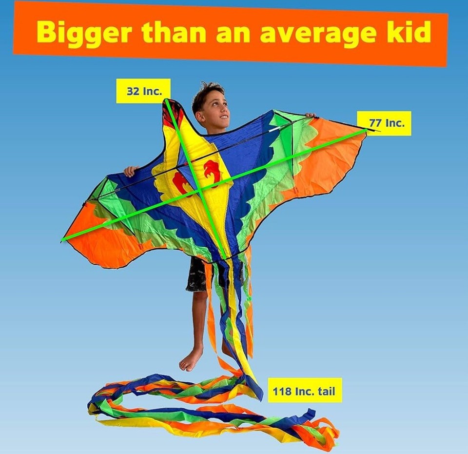 Colorful Bird Kite for Kids Child Beginners Easy to Assemble and Fly | eBay