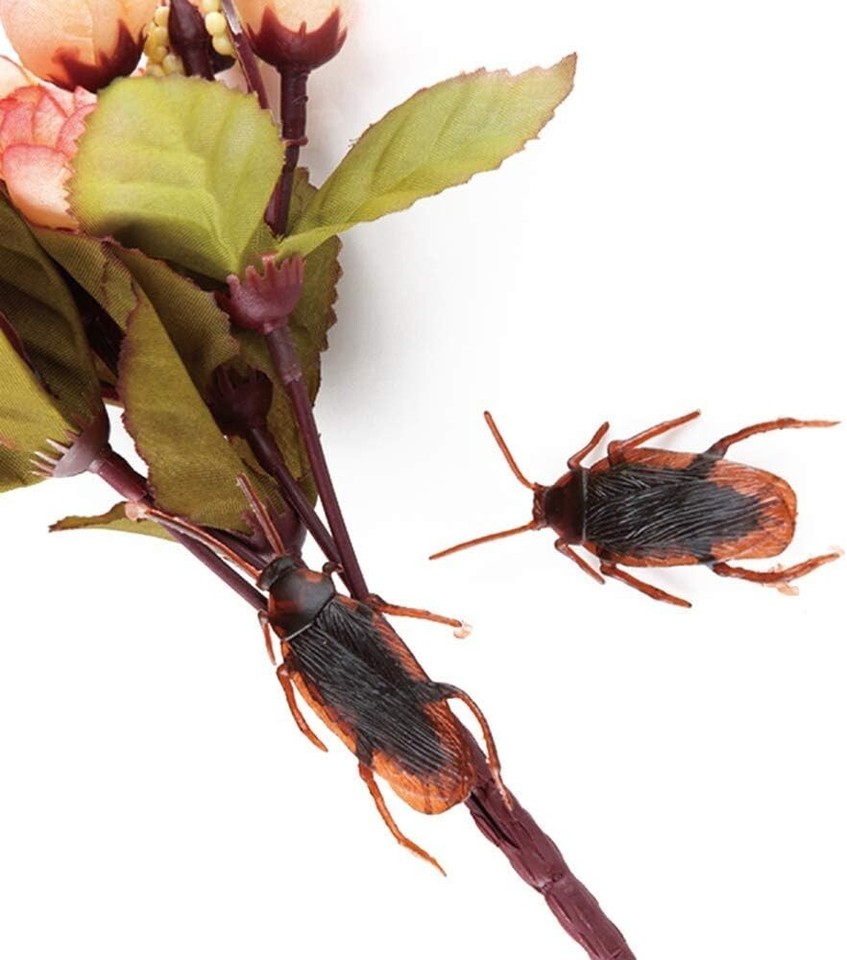 100 Prank Cockroaches Realistic Cock Roach Plastic Fake Creepy Bugs Gag ...