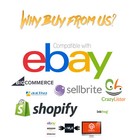 Transparent eBay Auction Listing Template Design Responsive | eBay