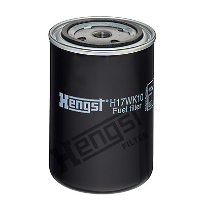 Fuel filter 5716779 1181245 01181245 10113119 11711074 0013022781 | eBay UK