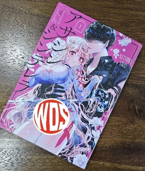 Assassin and Cinderella Vol 1-3 Manga Englisch Full Set by Yuzo Natsuno ...