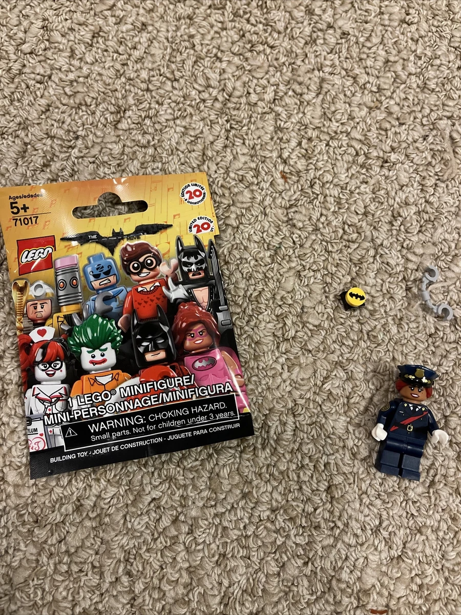 Lego Batman Hush Minifigure