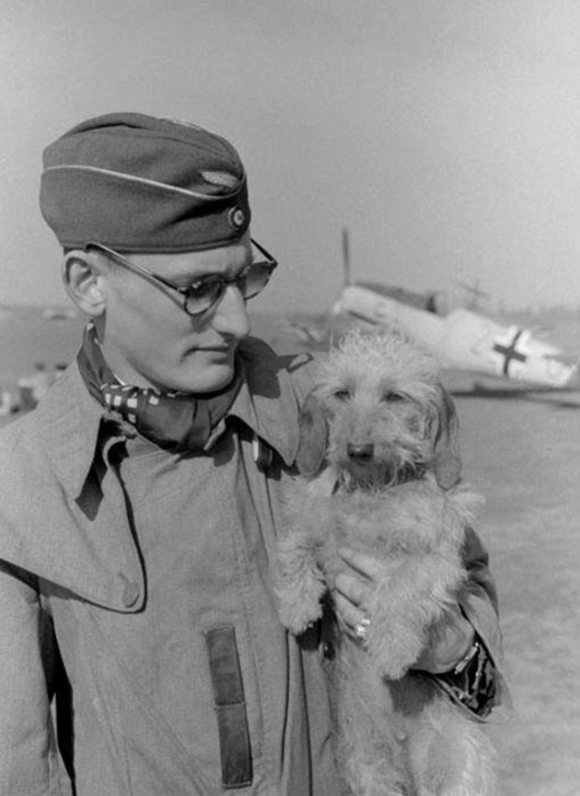 WW2 WWII Photo German Luftwaffe Bf109 Pilot & Dog World War Two Germany ...