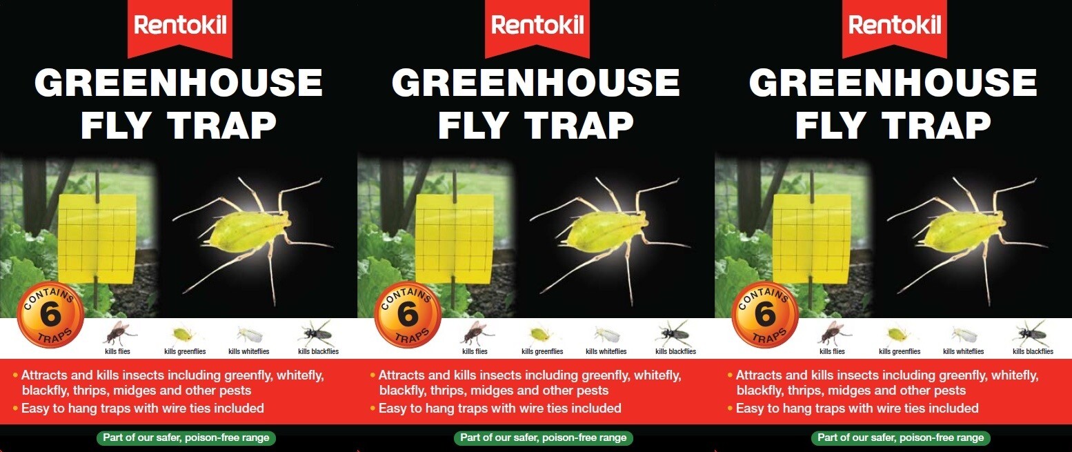 3x Rentokil Greenhouse Fly Traps Kills Insect Greenfly Blackfly ...