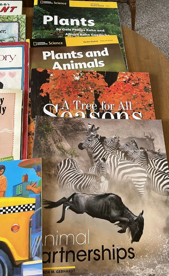 Lot of 14 Big Books Shared Reading Teacher Class Large DK & Other Pat ...