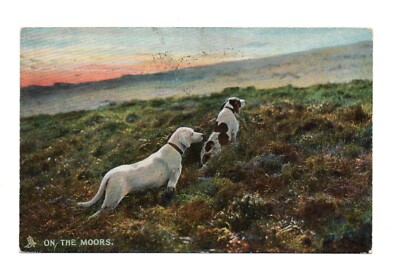 Pyrenean Shepherd Hunt. Hunting Dogs | eBay
