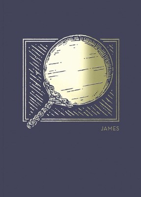 NET Abide Bible Journal - James, Paperback, Comfort Print: Holy Bible ...