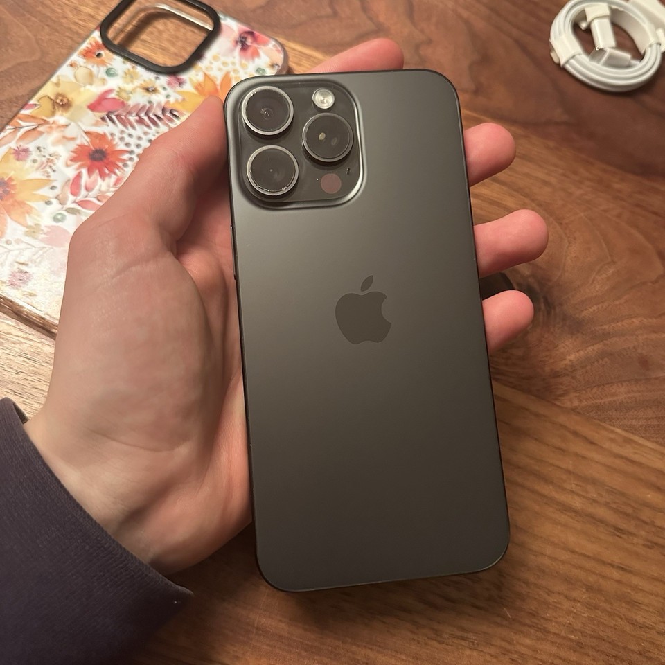 Apple iPhone 15 Pro Max (256GB) - Titan Schwarz GRATIS VERSAND ...