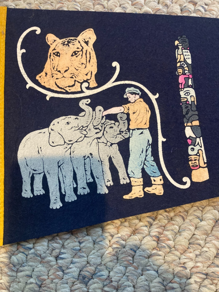 VTG Benson Wild Animal Farm Hudson New Hampshire Pennant Banner - FAST ...
