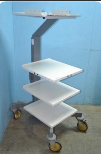 OLYMPUS IMAGING CART TI-1900 ENDOSCOPY IMAGING GAMING AV CART MOBILE | eBay