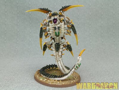 Modules - Trygon Model