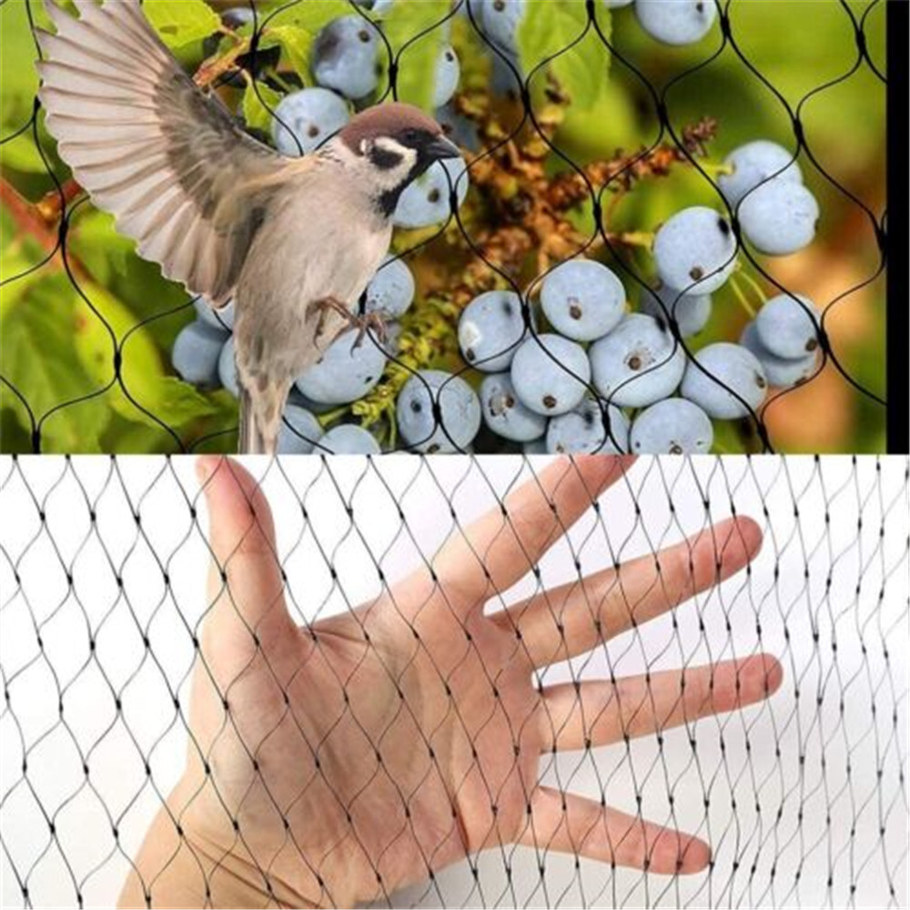 25'X25' 25'X50' 50'X50' Bird Netting Bird Poultry Net Anti Bird Netting ...