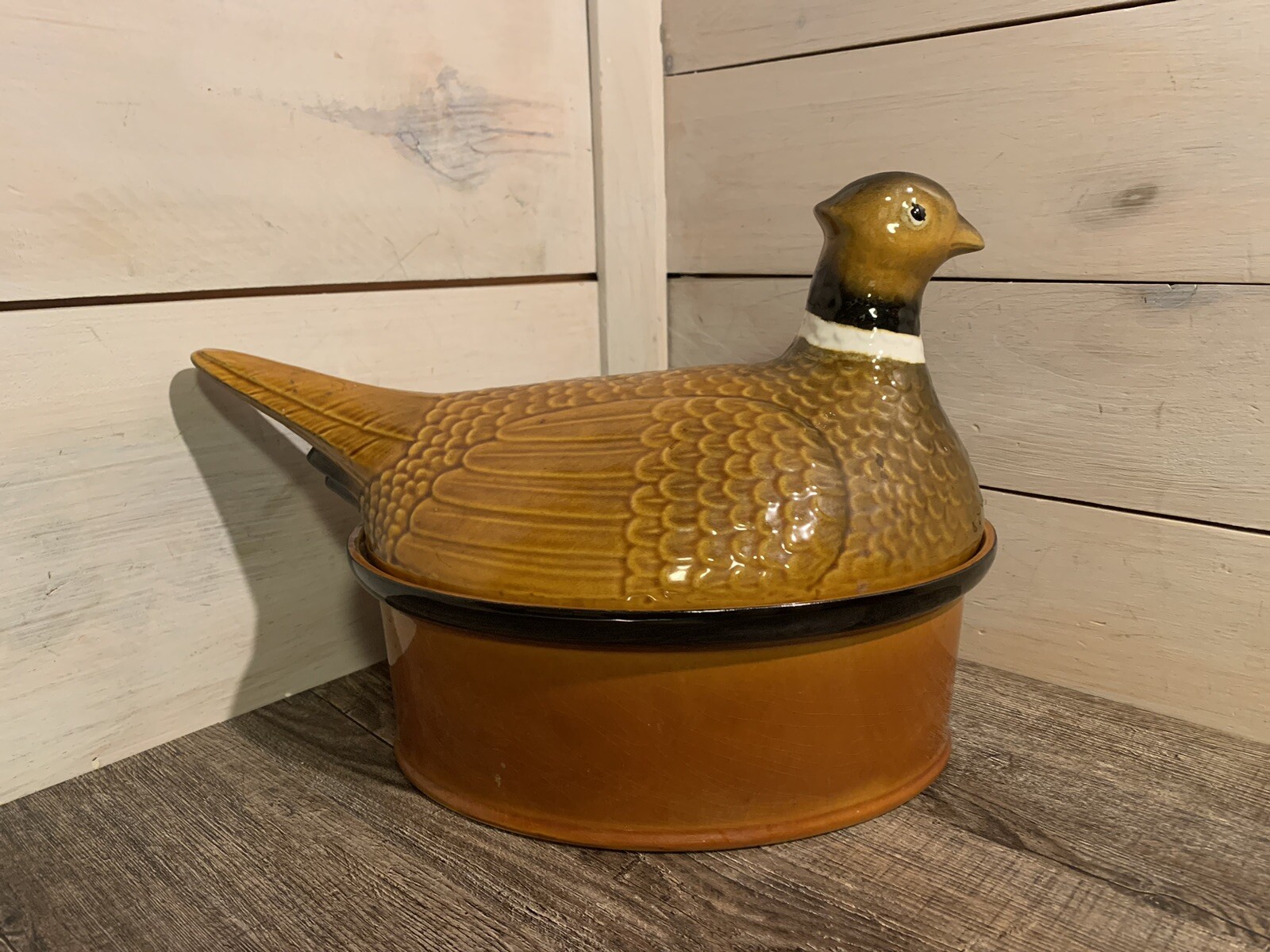 Brown Bird With Neck Ring