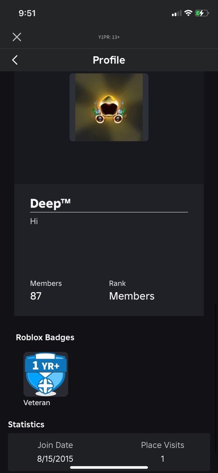 Roblox Limiteds Account (text before buy) | eBay