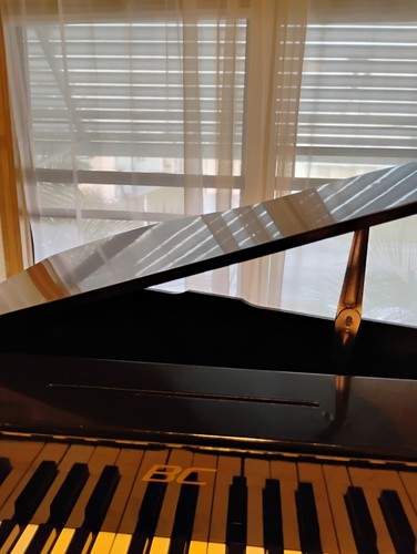 Piano Model Prop display BC with Bench 25 Inches tall opened. 20" wide ...