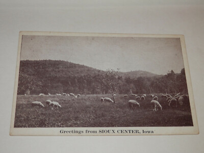 SIOUX CENTER IOWA - OLD POSTCARD - BUCOLIC SHEEP GREETINGS - SIOUX ...