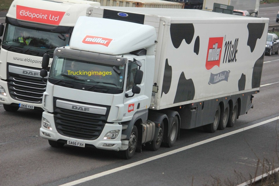 TRUCKINGIMAGES TRUCK PHOTOS - MILK TPT MULLER WISEMAN MMID TRUCKS - 250 ...