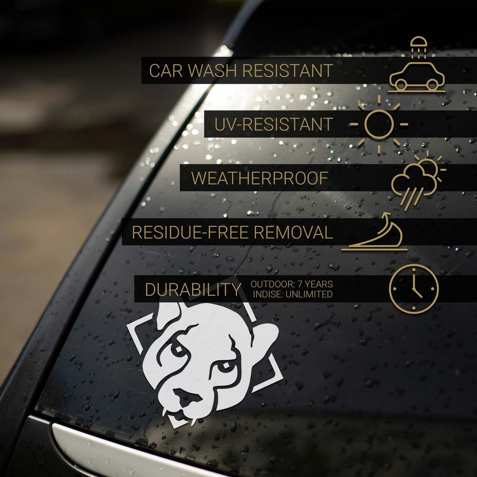 Wheelchair Decal Handicap Severely Disabled Ramp Sticker Car Truck Gift ...